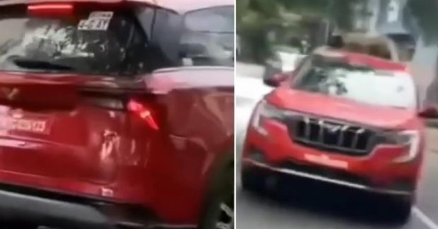 Mahindra XUV700 Red Colour Spotted Sans Camo, Looks Better in Flesh?