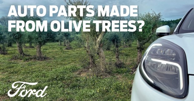 Ford's Green Drive with Olive Tree Waste for Future Car Parts